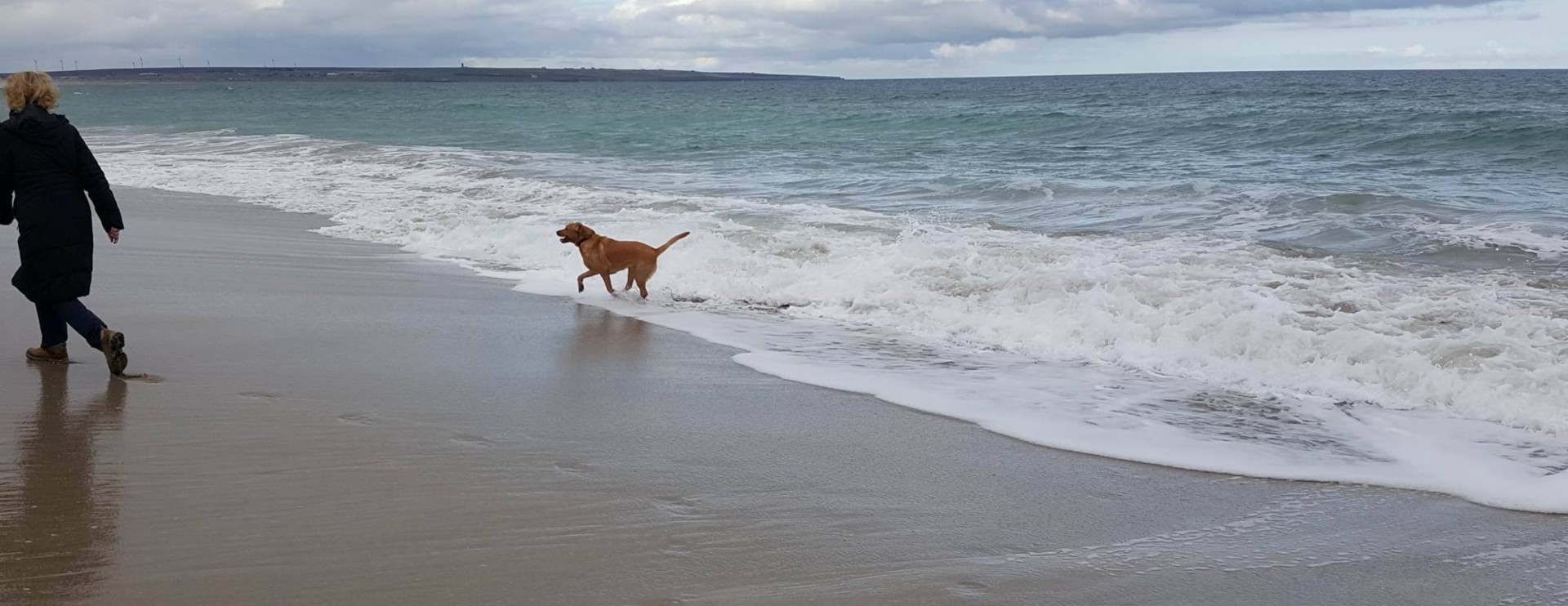 Dog-Friendly Caithness Activities | Mackays Hotel